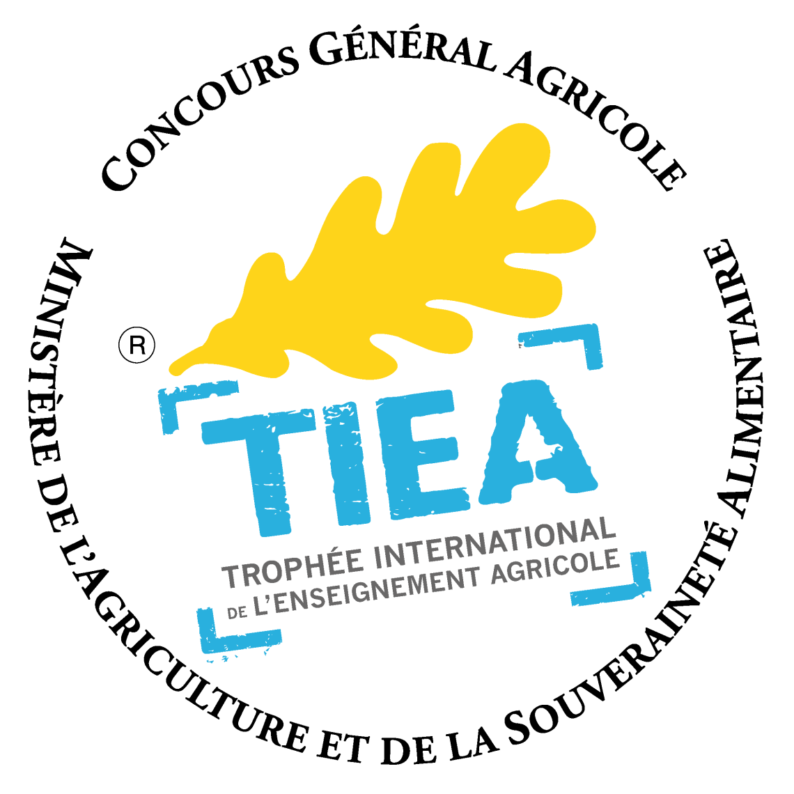 Mutualia – TIEA
